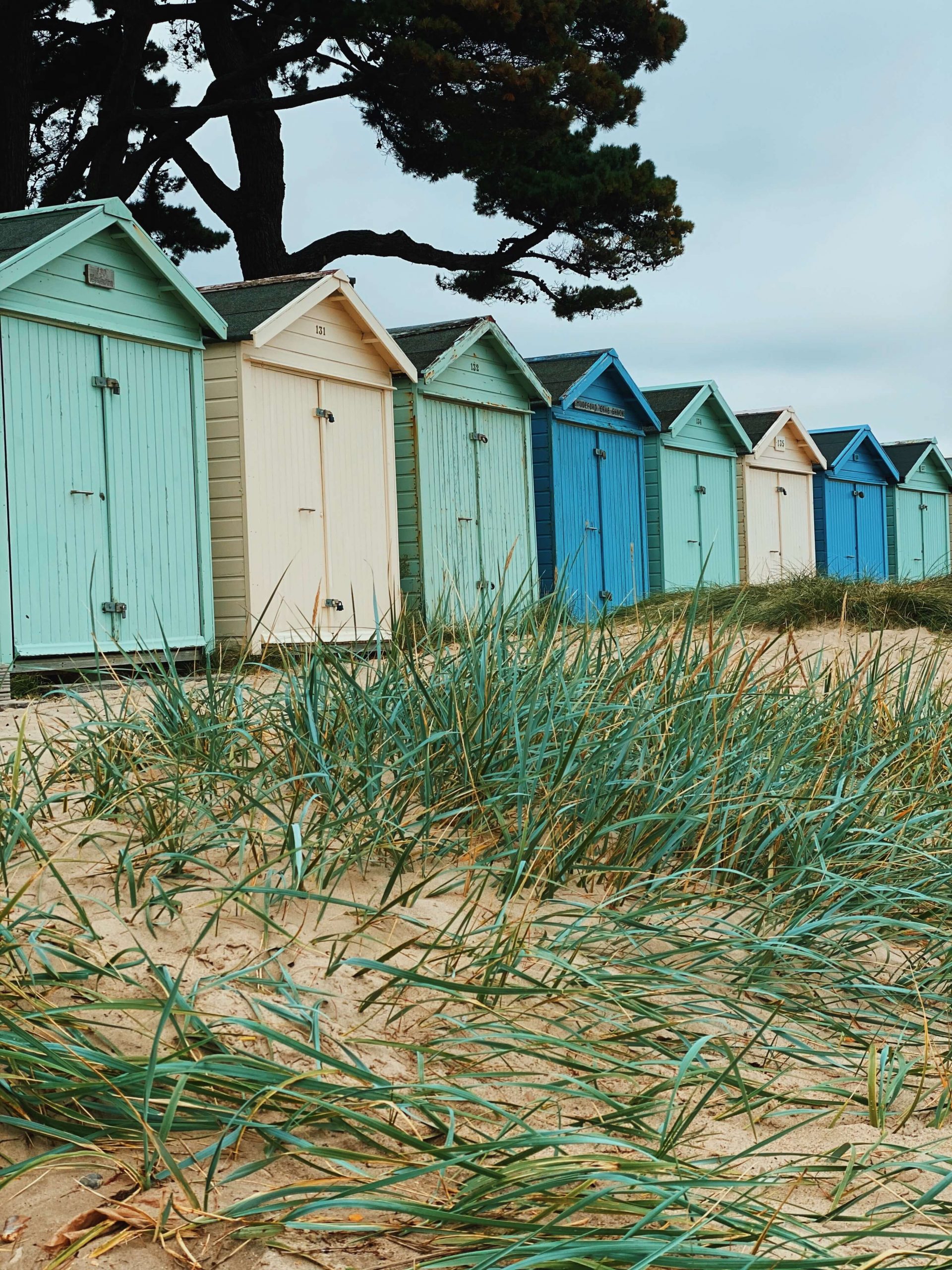 Top 10 things to do in the New Forest - Earth's Magical Places